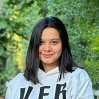 What did John R. Lyons do? Mahomet triple homicide suspect allegedly ...