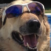 The best way to farm Gallium in Warframe